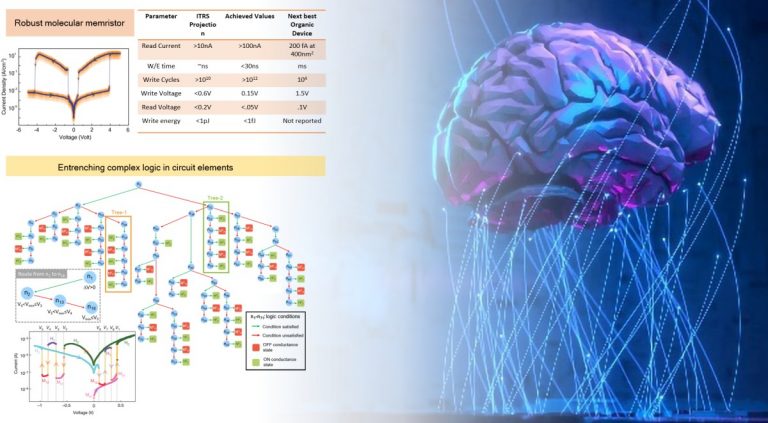 Brain, Computation, and Data Science