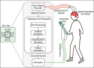 Brain, Computation, and Data Science